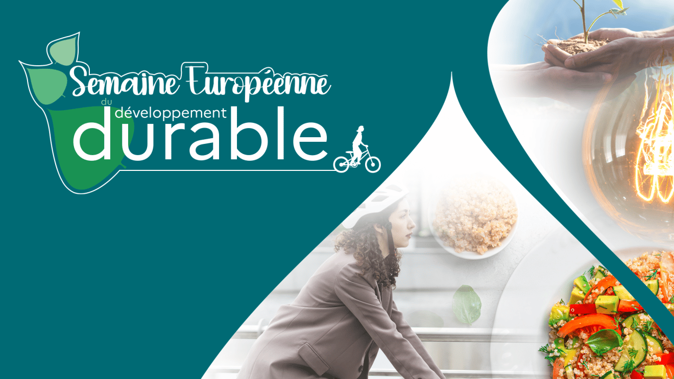 Le Crous - Crous Versailles